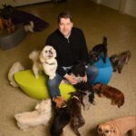 Meet SteelDog USA | Durable Chew Toys for Dogs & Cats