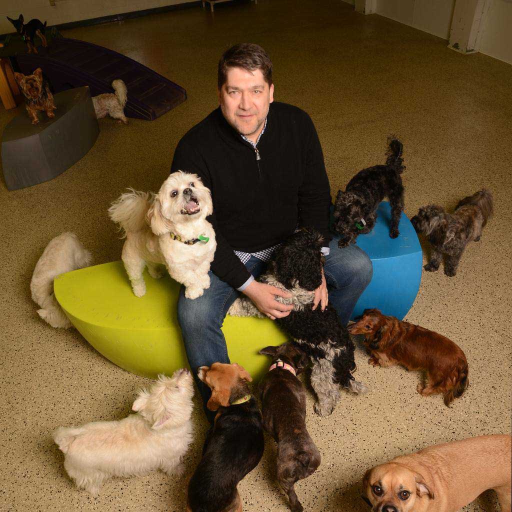 Meet SteelDog USA | Durable Chew Toys for Dogs & Cats