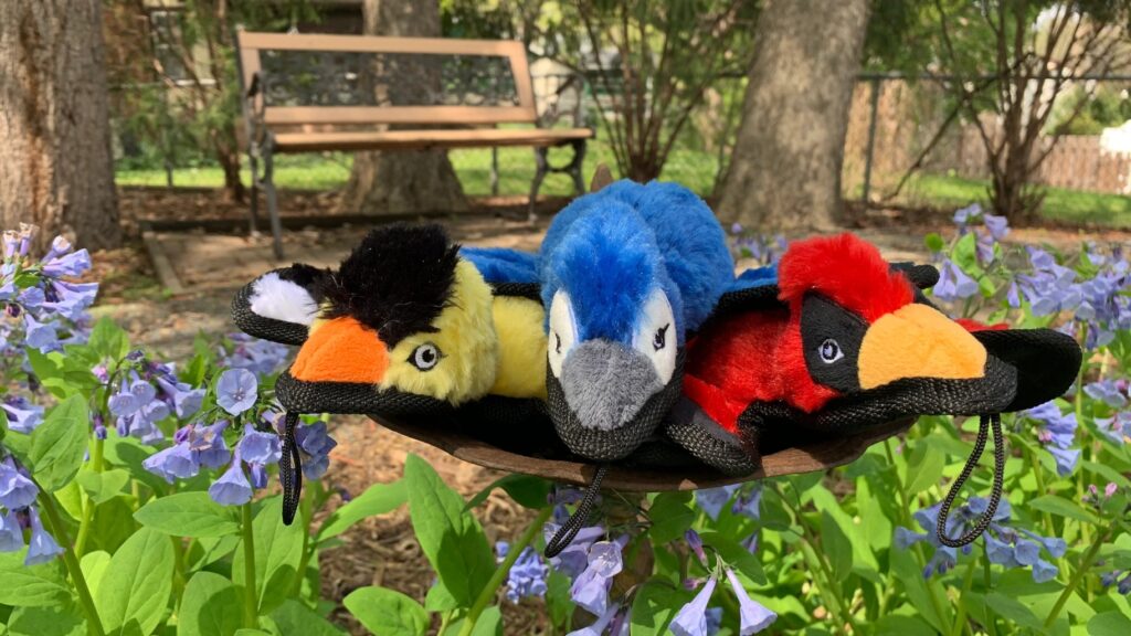 Yard Bird Yellow Finch dog toy — realistic plush with tennis ball and ...