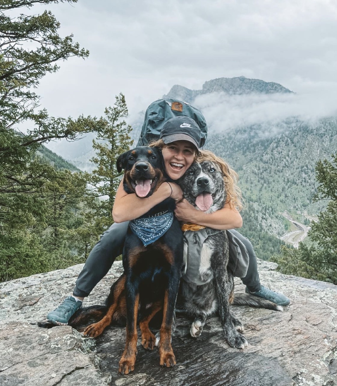 Meet SteelDog | Durable Chew Toys for Dogs & Cats